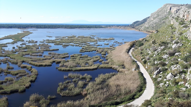 Ευρωπαϊκή Γιορτή των Πουλιών 2017 – Strofylia National Park